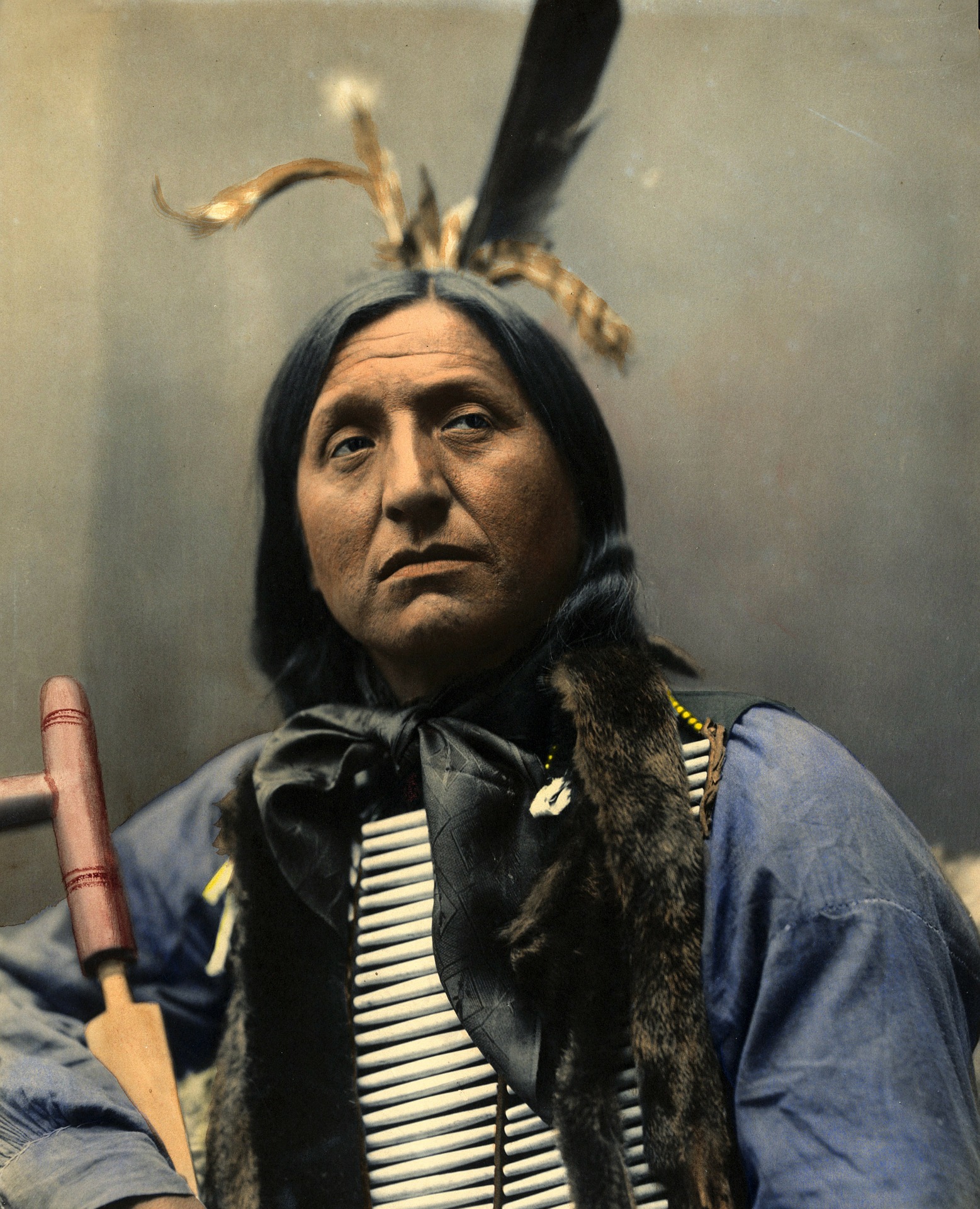 How Many Indigenous People Do You Think America Has?
